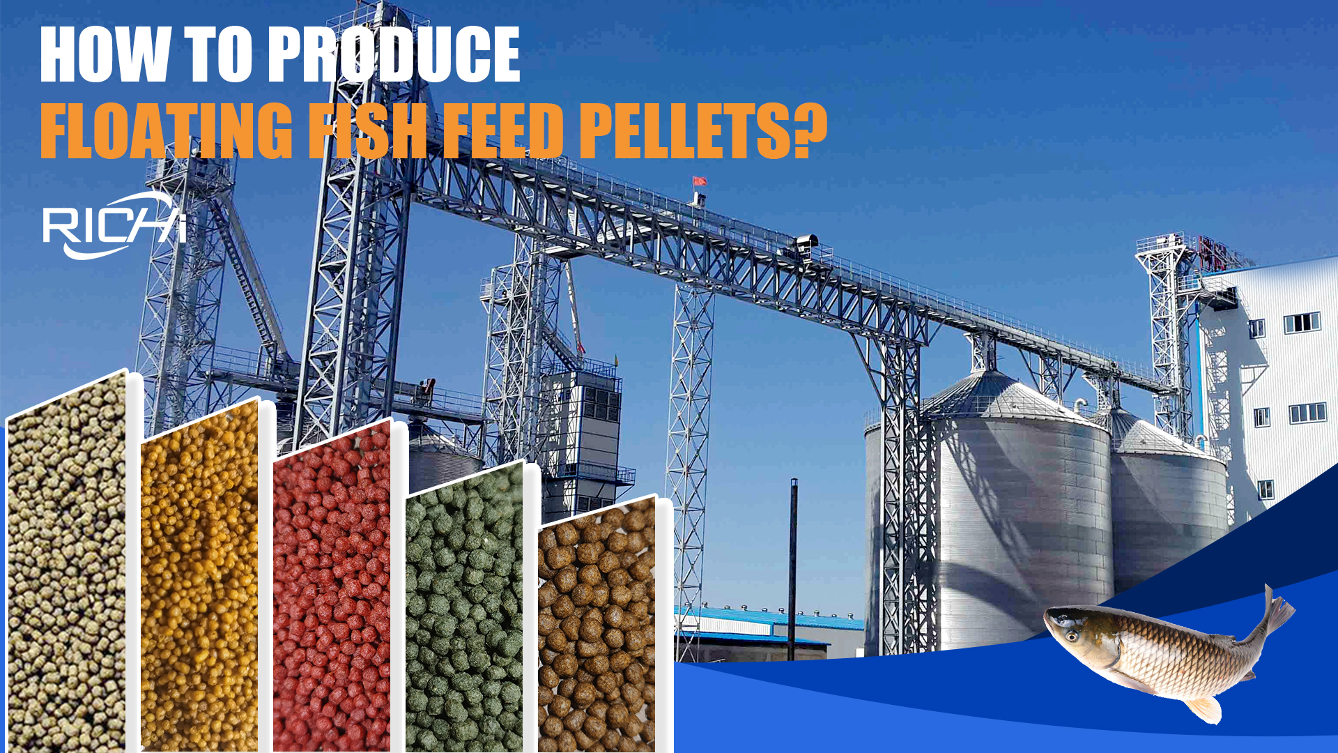 Fish Feed Pellet Machine Price from RICHI Factory