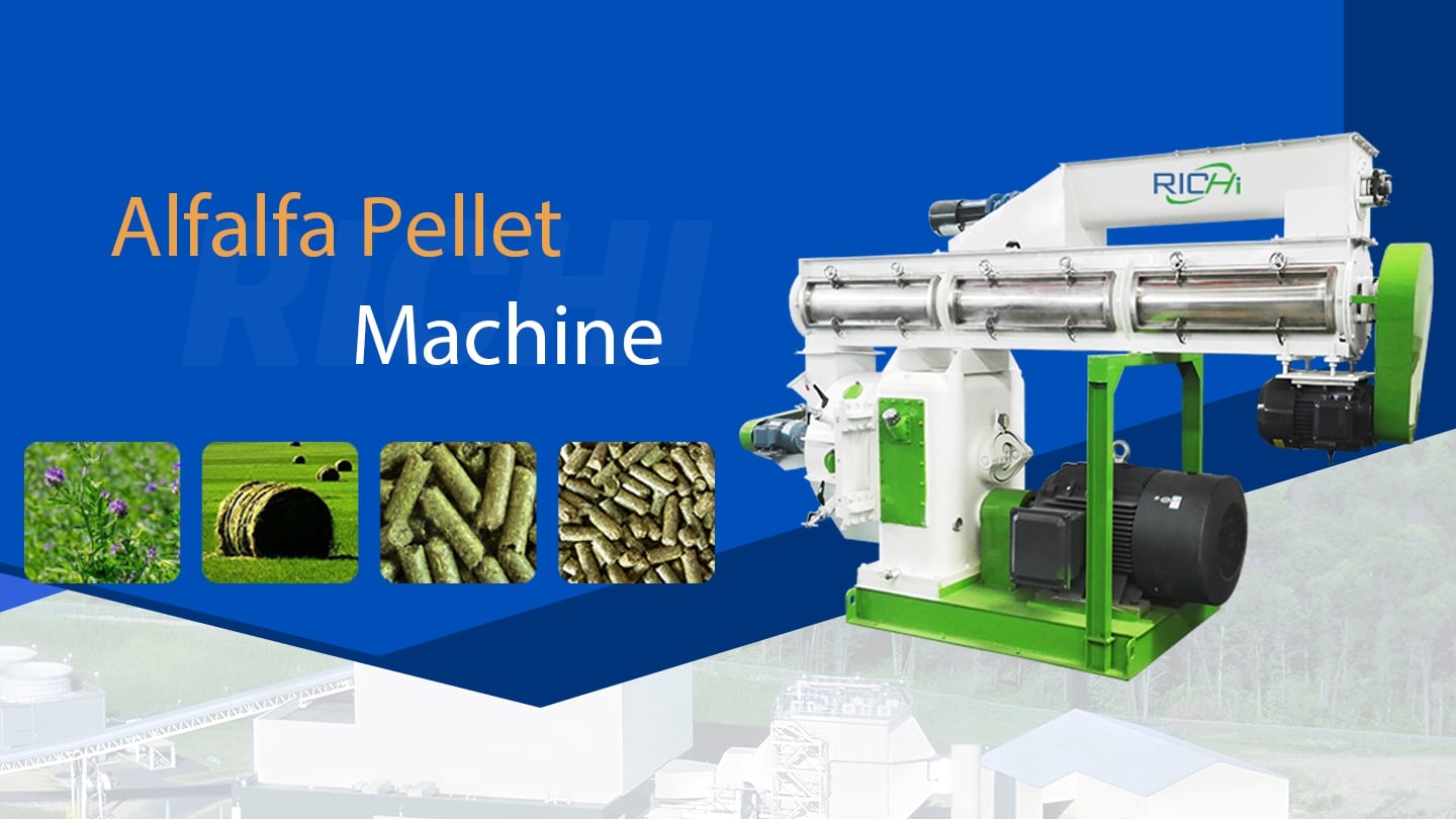 Quality CE ISO Certified Alfalfa Pellet Machine For Sale
