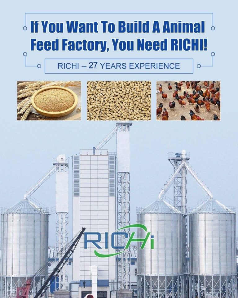 1-60T/H Animal Feed Mill Plant Cost - RICHI Manufacture