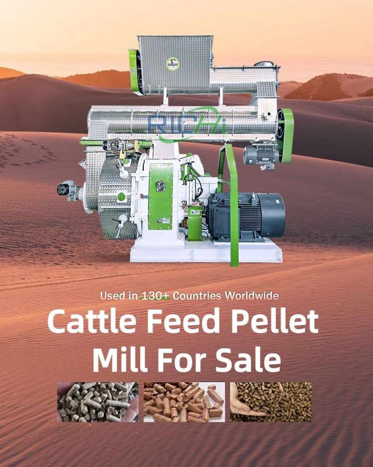 Cattle Feed Pellet Mill For Sale - RICHI Manufacture